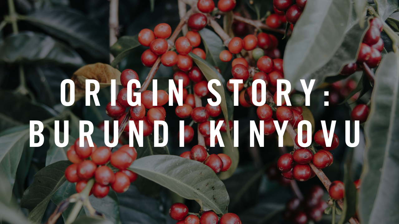 Burundi Kinyovu Coffee | Ferris Nut Co. – Ferris Coffee & Nut Co.