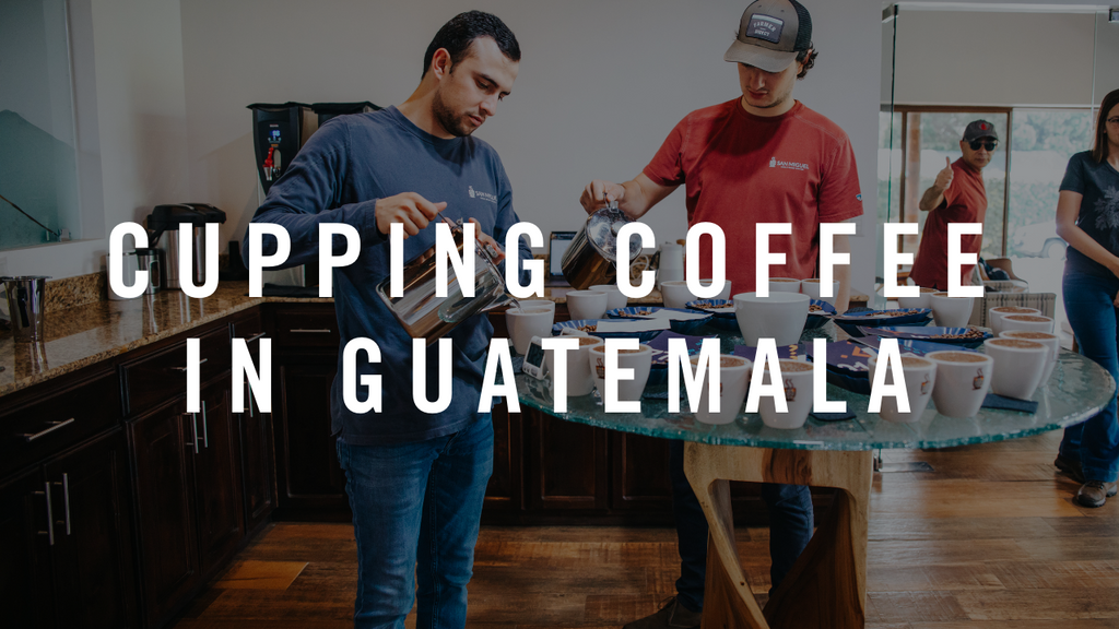 Cupping Coffee in Guatemala | Ferris Coffee Co. – Ferris Coffee & Nut Co.