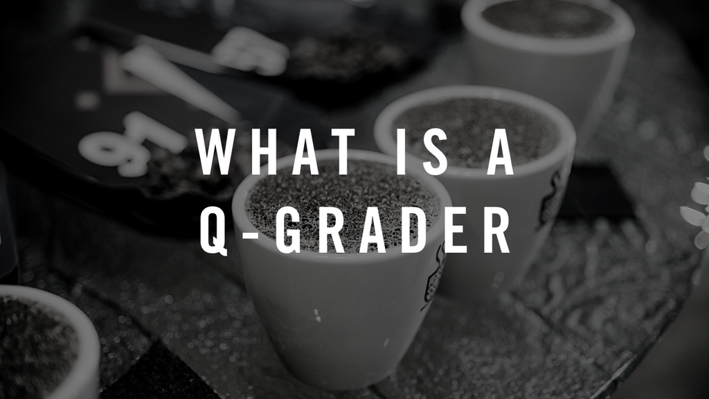 Coffee Q-Grader Explained | Ferris Coffee Co. – Ferris Coffee & Nut Co.
